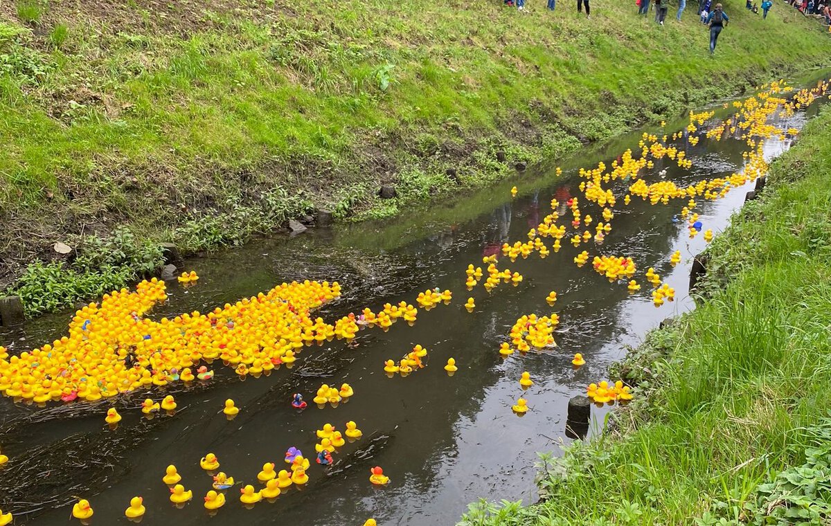 Entenrennen 2022 - Friedrich-Ebert-Schule